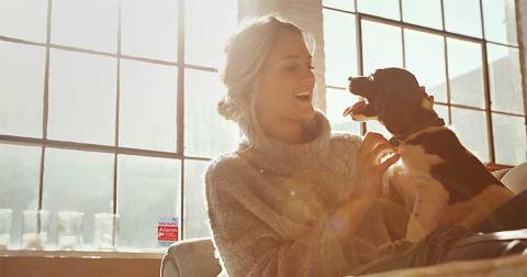 Verisure: smart alarm system for homes and businesses